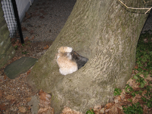 Fun time « ROXY'S RETREAT